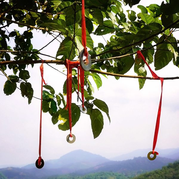 Explore - Ethos Forest — Where Healing Begins